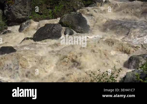 Foaming muddy river surges through forest with violent current and ...