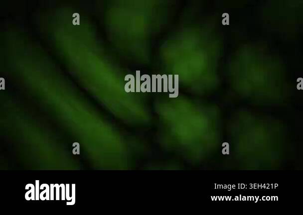 Animation of green glowing light effect Stock Video Footage - Alamy