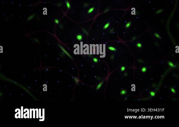 Glowing green particles floating in black Stock Video Footage - Alamy