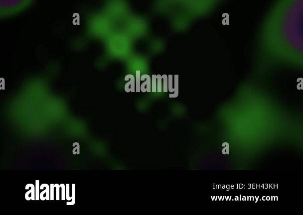 Glowing cells under microscope examination Stock Video Footage - Alamy