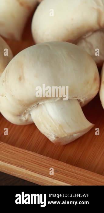 Vertical video close-up of fresh, raw white champignon mushrooms neatly ...