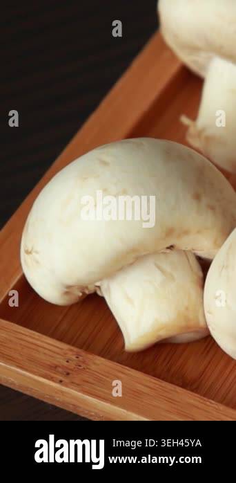 Vertical video close-up of fresh, raw white champignon mushrooms neatly ...