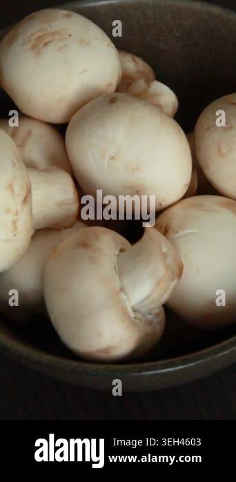 Vertical video close-up of fresh, raw white champignon mushrooms neatly ...