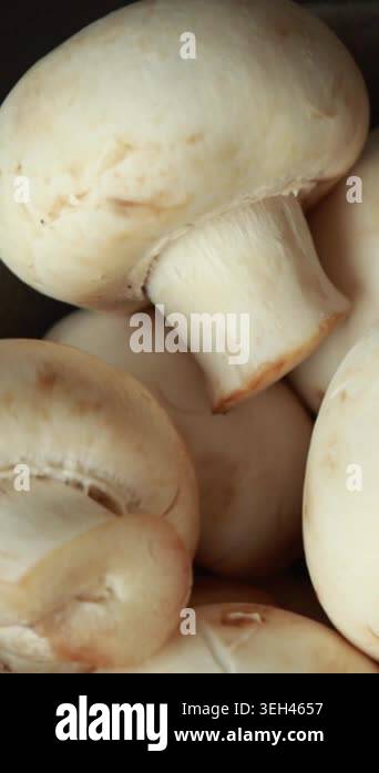 Vertical video close-up of fresh, raw white champignon mushrooms neatly ...