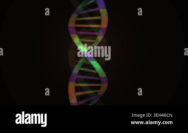 A colorful model of a DNA double helix structure Stock Video Footage ...