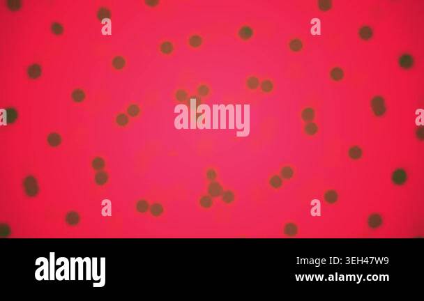 Vibrant red background with scattered green dots Stock Video Footage ...