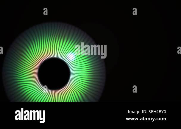 Close-up of colorful iris patterns Stock Video Footage - Alamy
