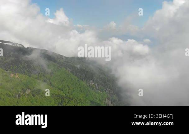 New Zealand aerial view across foggy forests and mountain valleys under ...