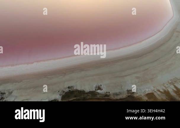 Aerial views trace a pink salt lake shoreline with shallow water ...