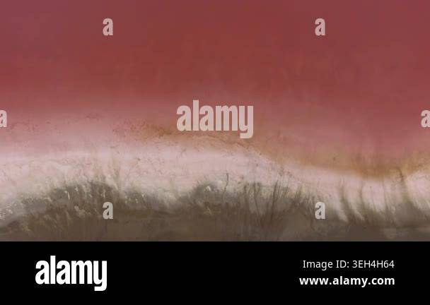 Aerial views trace a pink salt lake shoreline with shallow water ...