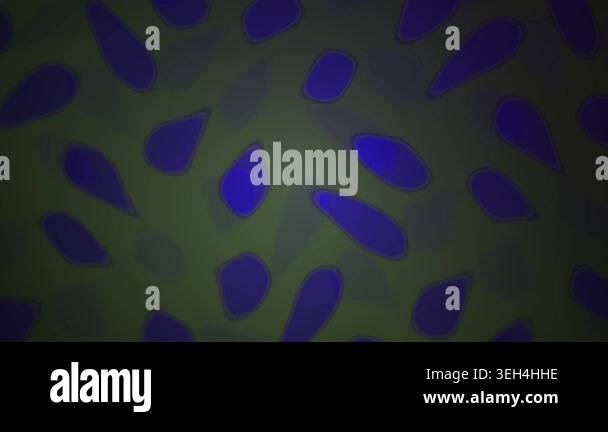 Glowing blue cells under microscope Stock Video Footage - Alamy