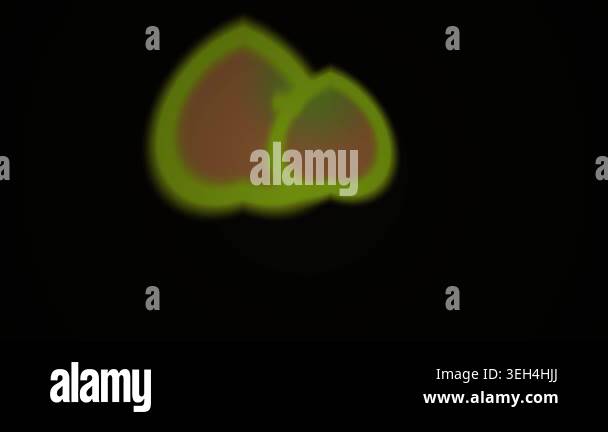 Close-up of cells under microscope Stock Video Footage - Alamy
