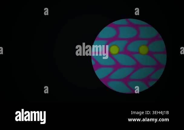 A colorful circular design with purple lines and green dots animated on ...
