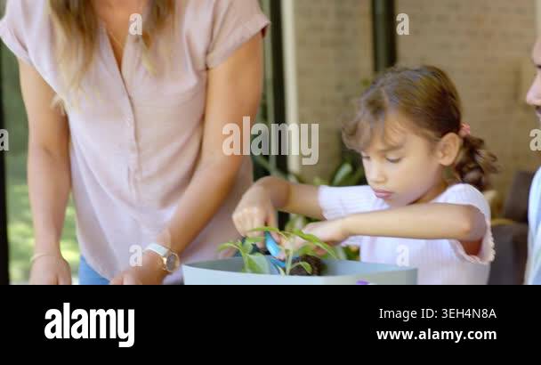 Family guiding child planting seedlings with blue trowel beside purple ...