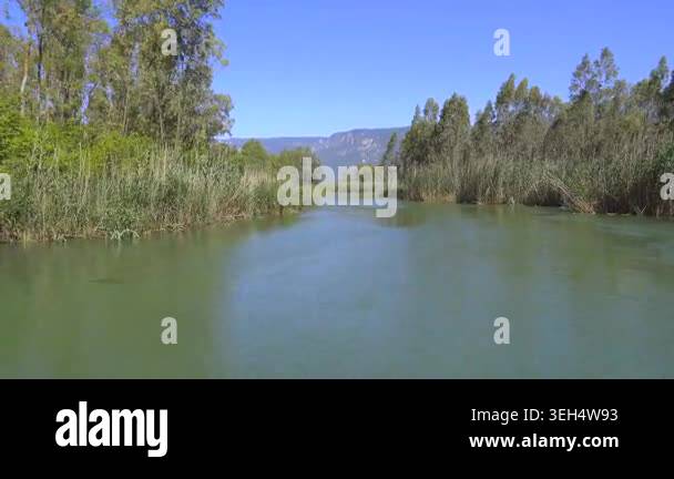 Boat bow moves through natural reed channel bordered by calm water and ...