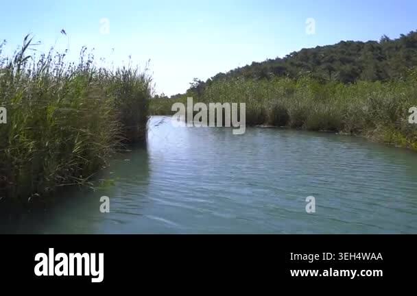 Boat bow moves through natural reed channel bordered by calm water and ...