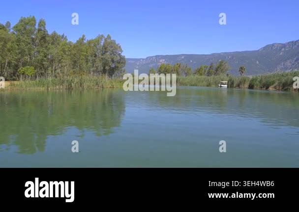 Boat bow moves through natural reed channel bordered by calm water and ...