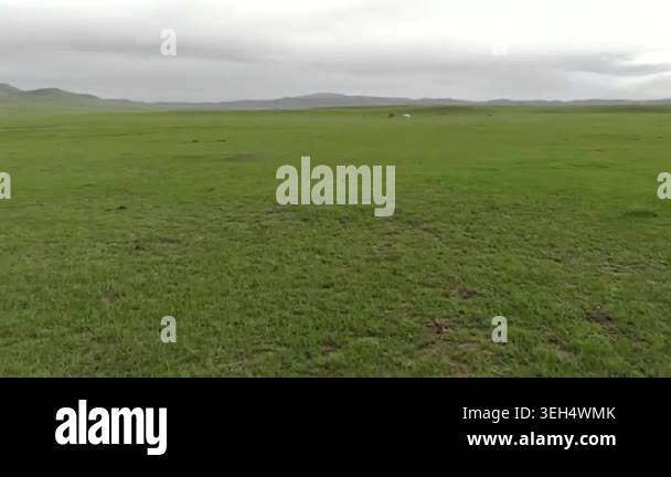 Aerial drone view shows vast green Mongolian steppe with a single ...