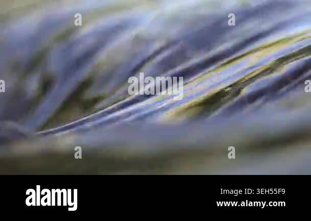 Curved ripples trace a smooth river surface creating calm abstract ...