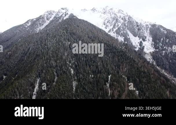 Aerial mixed pine and broadleaf forest under first snow, cold weather ...