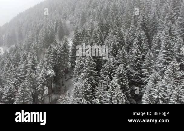 Aerial snowy mountains above forest valley in winter in Canada, calm ...