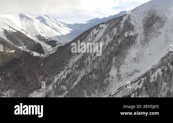 Aerial snowy mountains above forest valley in winter, calm alpine ...