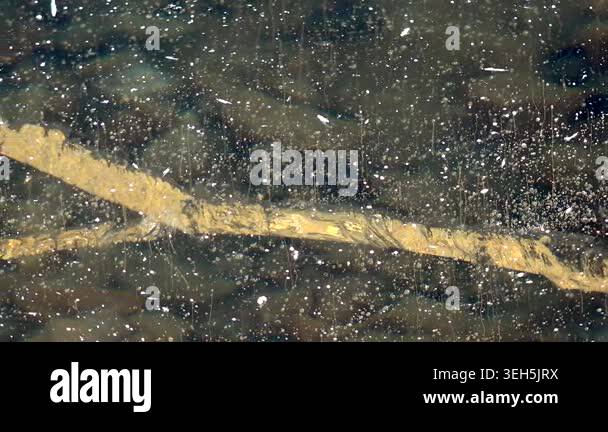 Frozen water surface holds ice sheets and cracks, winter stream or lake ...