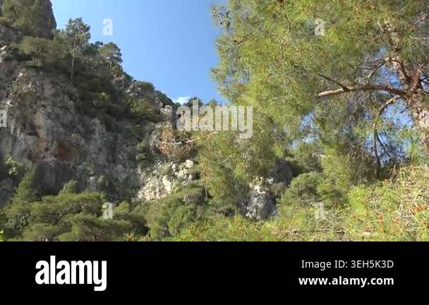 Rocky mountain wall rises above sparse trees, steep stone face under ...