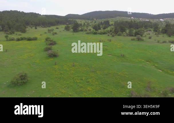 Aerial view of broad green meadow beside sparse woodland, gentle hills ...