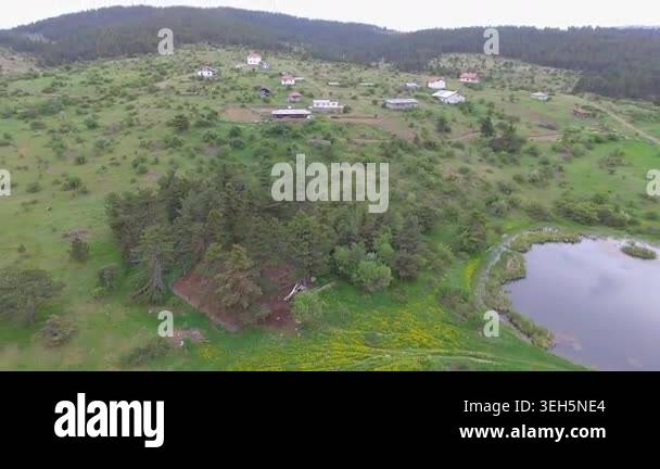 Aerial view of Serbian village houses, lake, flowering meadows, sparse ...