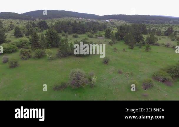 Aerial view of Serbian village houses, lake, flowering meadows, sparse ...
