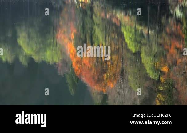 Autumn trees mirrored in calm lake, colorful foliage on quiet forest ...