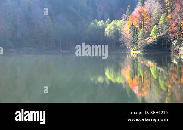 Autumn forest lake reflection at sunrise, tranquil water landscape with ...