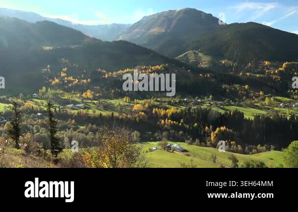 Alps village in mountain valley with autumn forest, green meadows ...