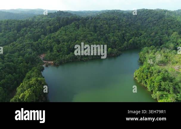 beautiful view of the forest Stock Video Footage - Alamy