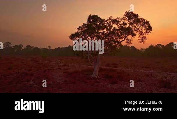 Aerial view of scenery sunrise over a river. A breathtaking view of a ...