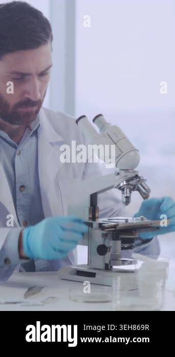 scientist preparing microscope slide with gloves modern laboratory ...