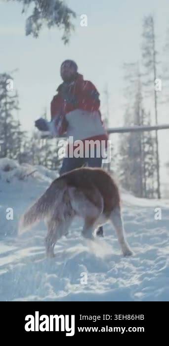 man playing with dog in snow friend kneels to pet large dog powder ...