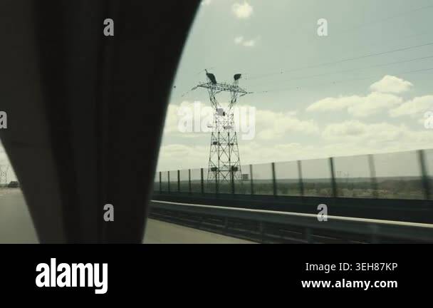 Many storks building their nests on a high-voltage electricity pylon ...
