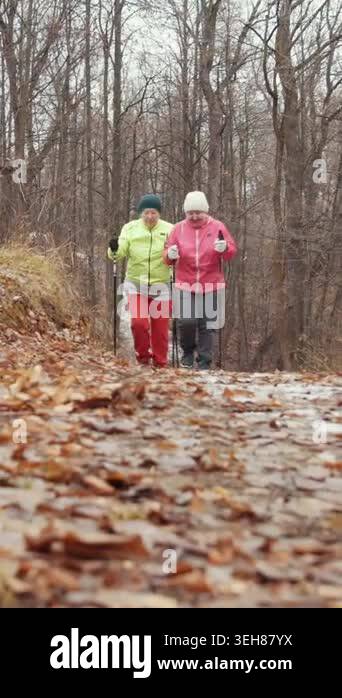 Two senior women in autumn park have training - nordic walking among ...
