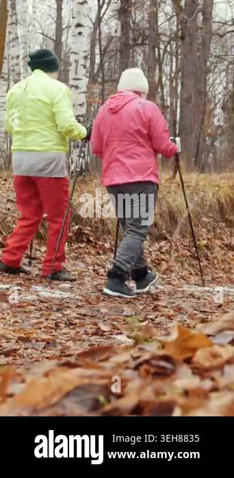Two happy elderly women in autumn park have training - nordic walking ...