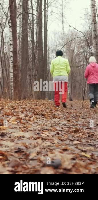 Two happy elderly women in autumn park have training - nordic walking ...