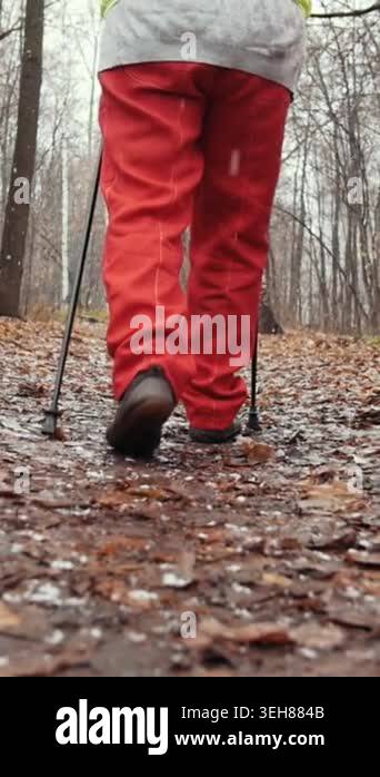 Nordic walking in autumn park - two senior ladies have training outdoor ...