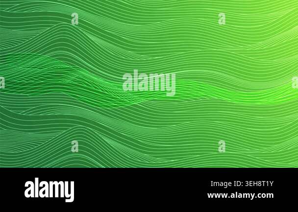 Abstract Green Wavy Lines Motion Background Animation Stock Video ...