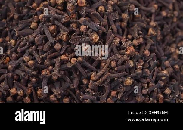 Dried cloves and how they are used in recipes Stock Video Footage - Alamy