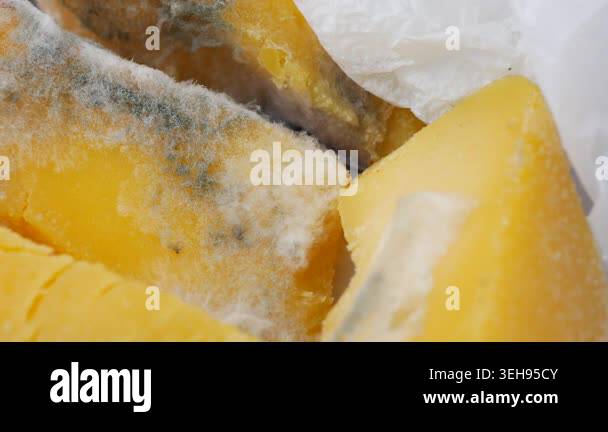 A close look at mold growing on cheddar cheese blocks in a bag Stock ...