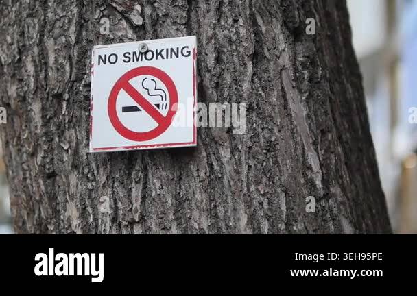 A no smoking sign is attached to a tree in a city park area Stock Video ...