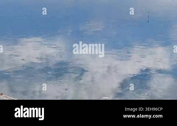 Rain drops fall on blue water surface creating ripples and circles ...