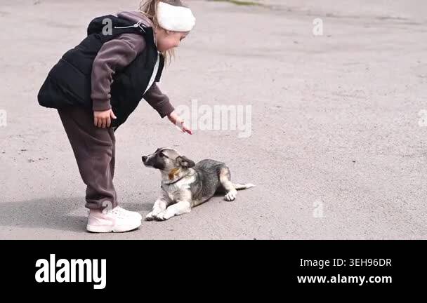 Little girl strokes stray dog on head outdoors. Kind child caresses ...
