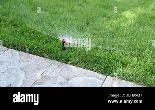 Sprinkler spraying water across green lawn, summer irrigation concept ...